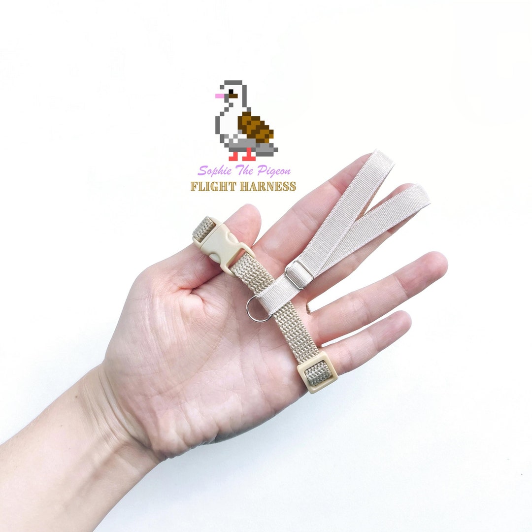 Pigeon Harness "sophie" - Bird Flight Harness With Soft-brake Leash ...