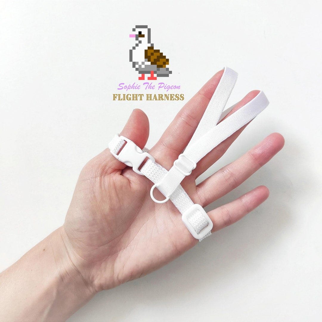 Pigeon Harness "sophie" - Bird Flight Harness With Soft-brake Leash ...