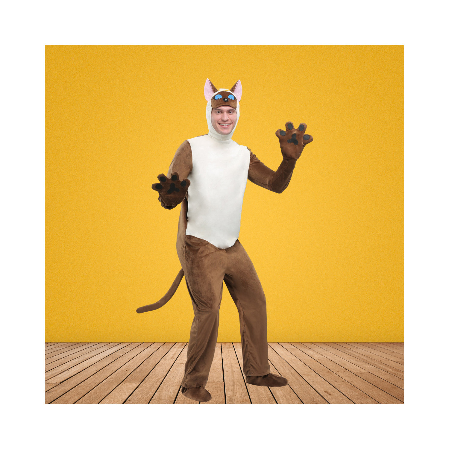 Cat Costume For Men
