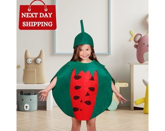 Watermelon Halloween Costume - Etsy