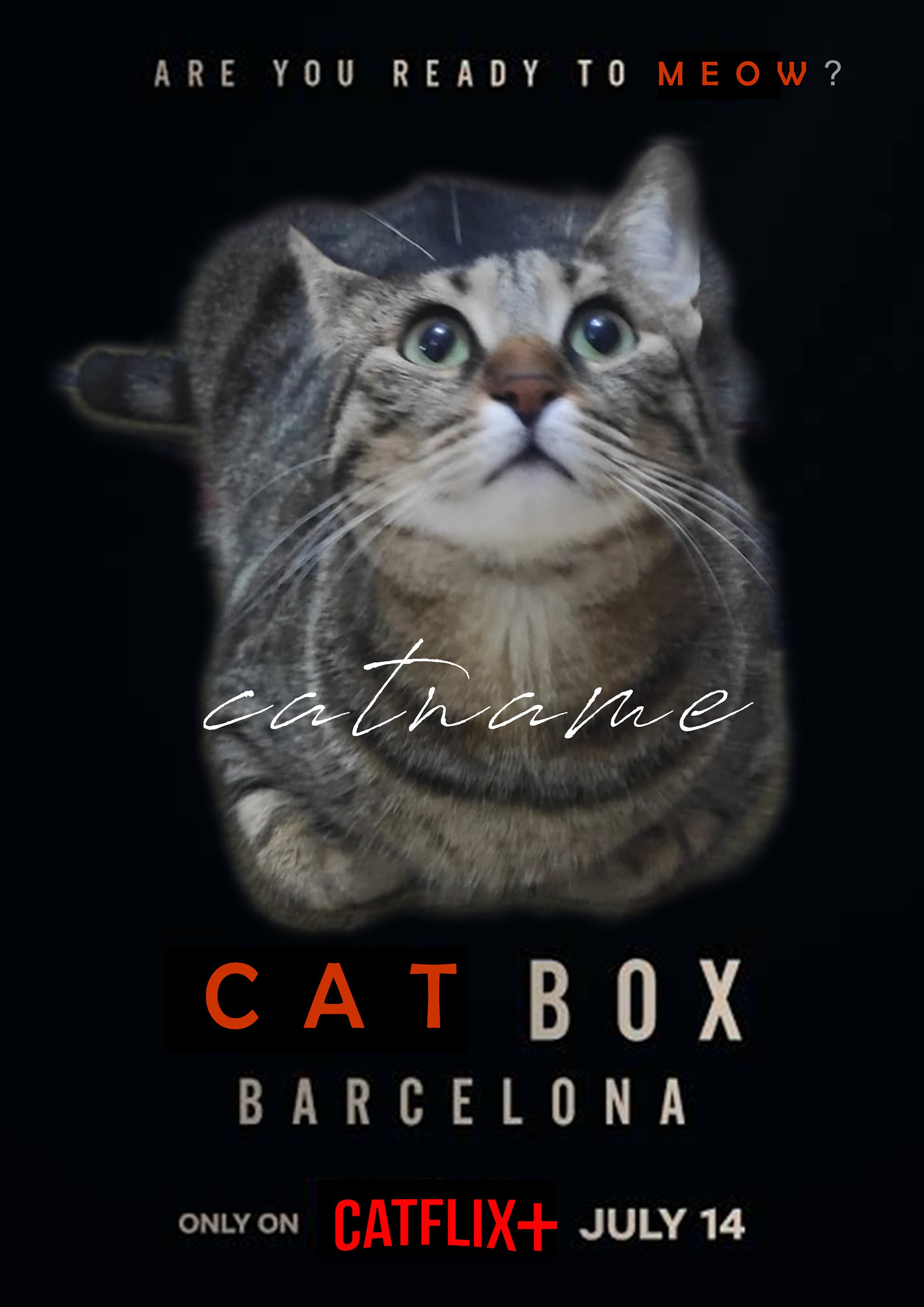Personalized Cat/dog Face , Custom Cat-dog Poster, Cat Portrait Digital ...