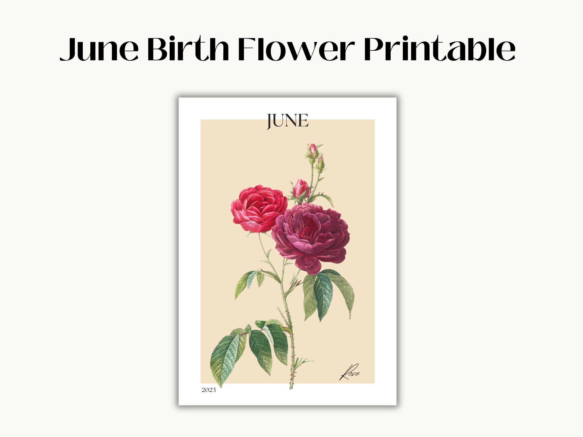 June Birth Flower Printable Rose Birthday Flower Art Last - Etsy