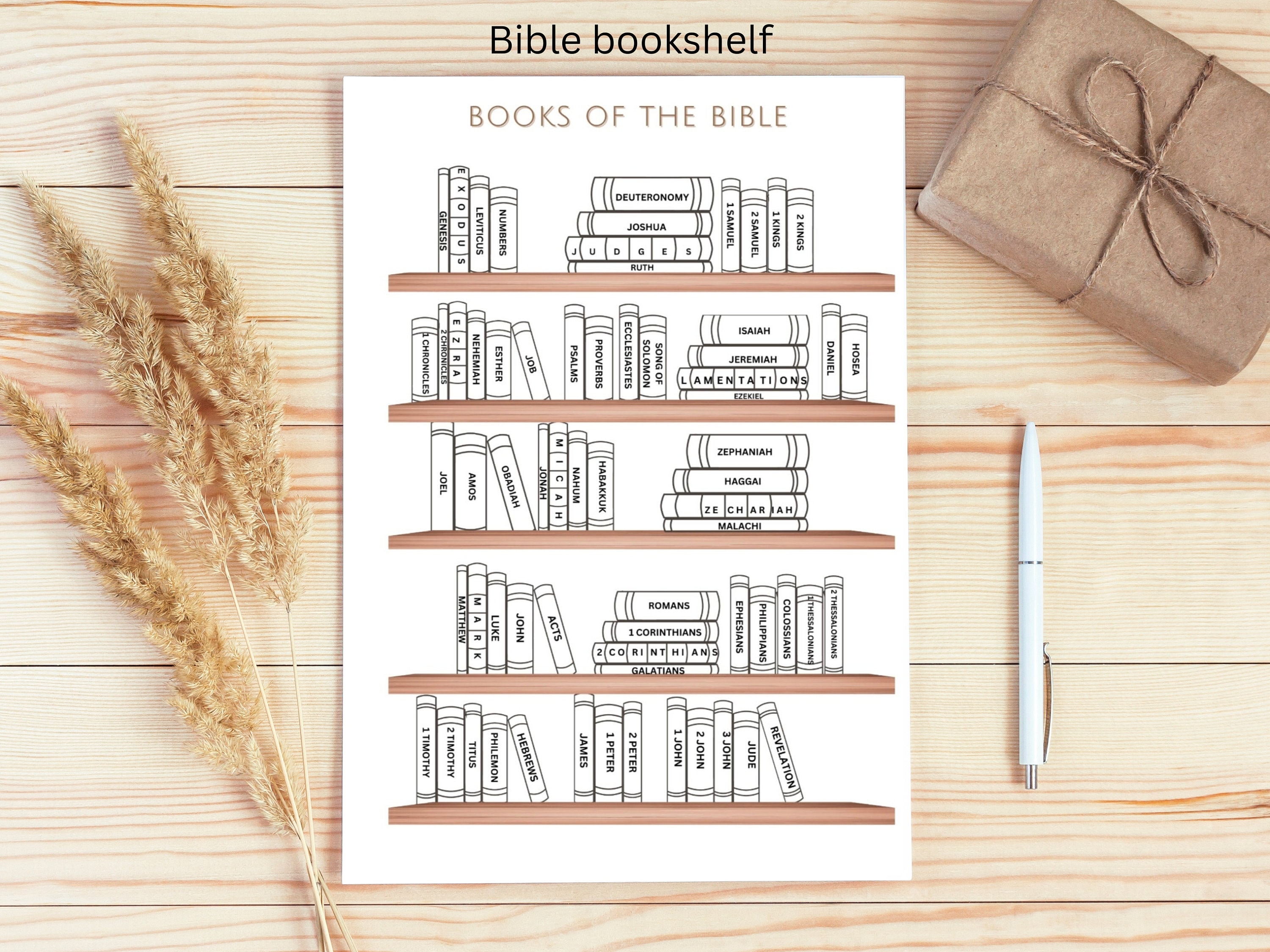 Bible Reading Checklist, Bible Reading Tracker, Log, Bookshelf, Study ...