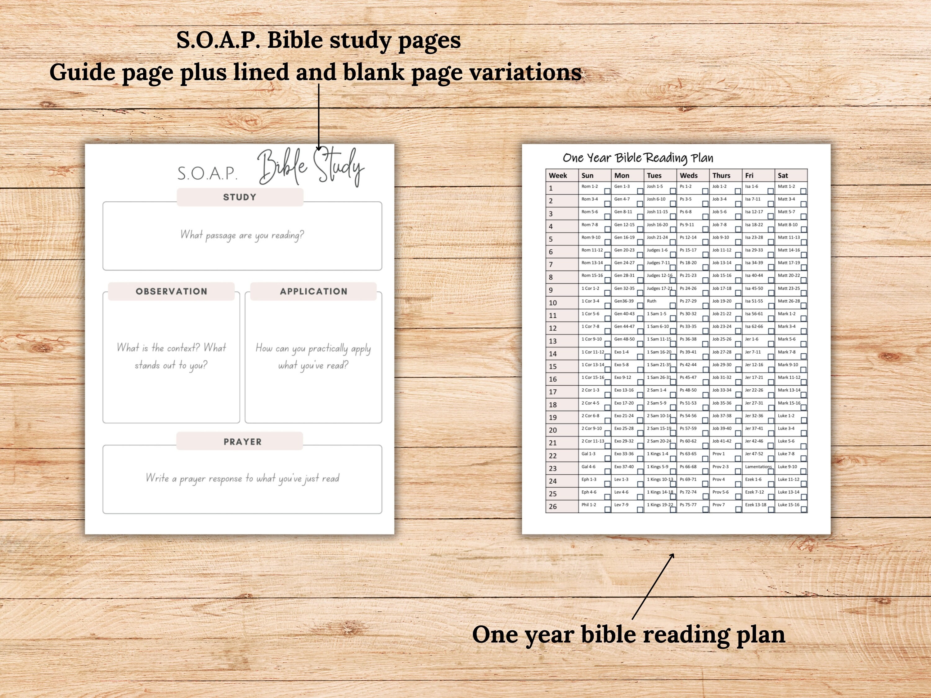 Bible Study Bundle: Daily Devotional, Verse Mapping (PDF Digital) - Etsy