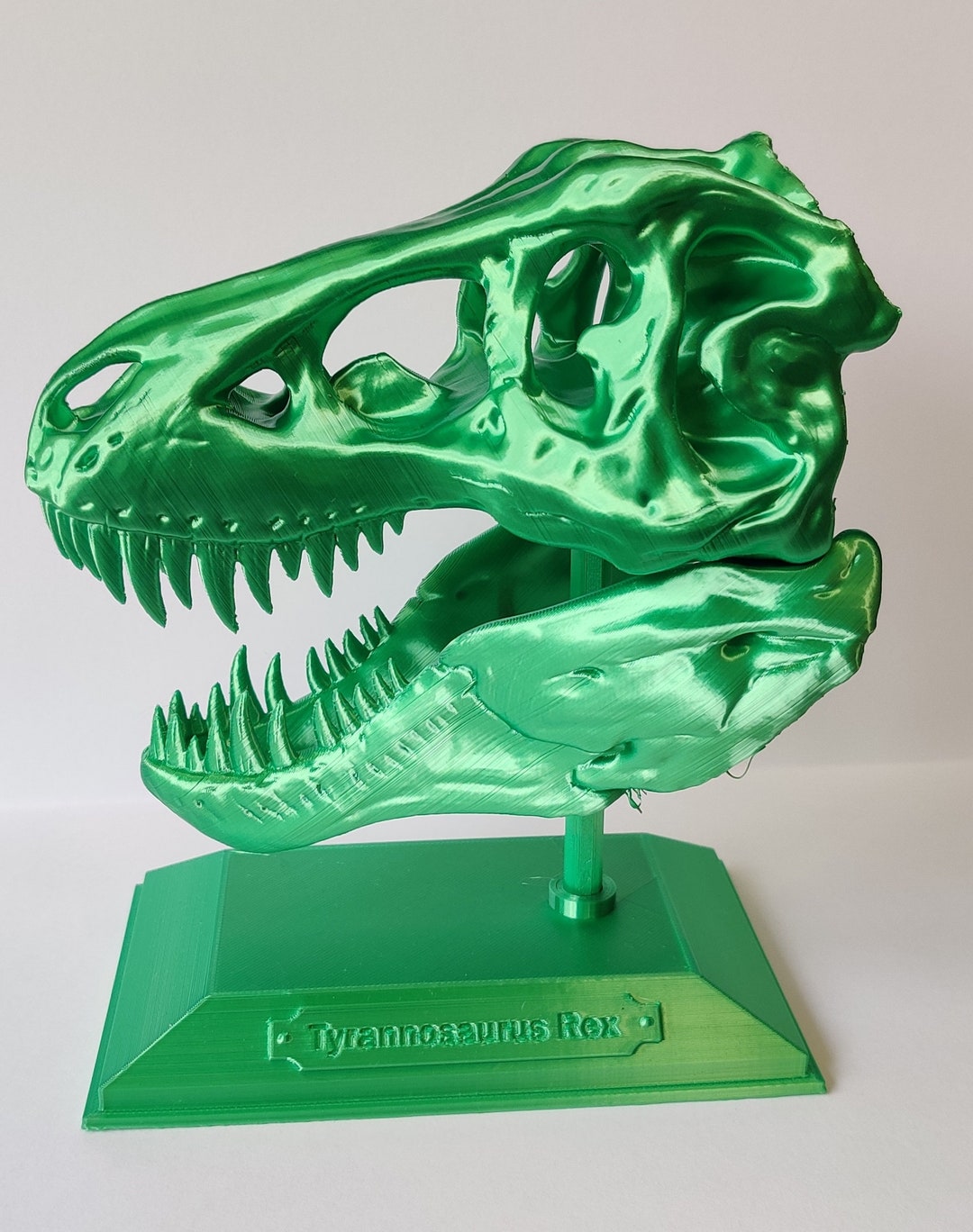 3D Printed T Rex - Etsy