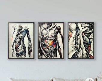Human Body Wall Set - Etsy