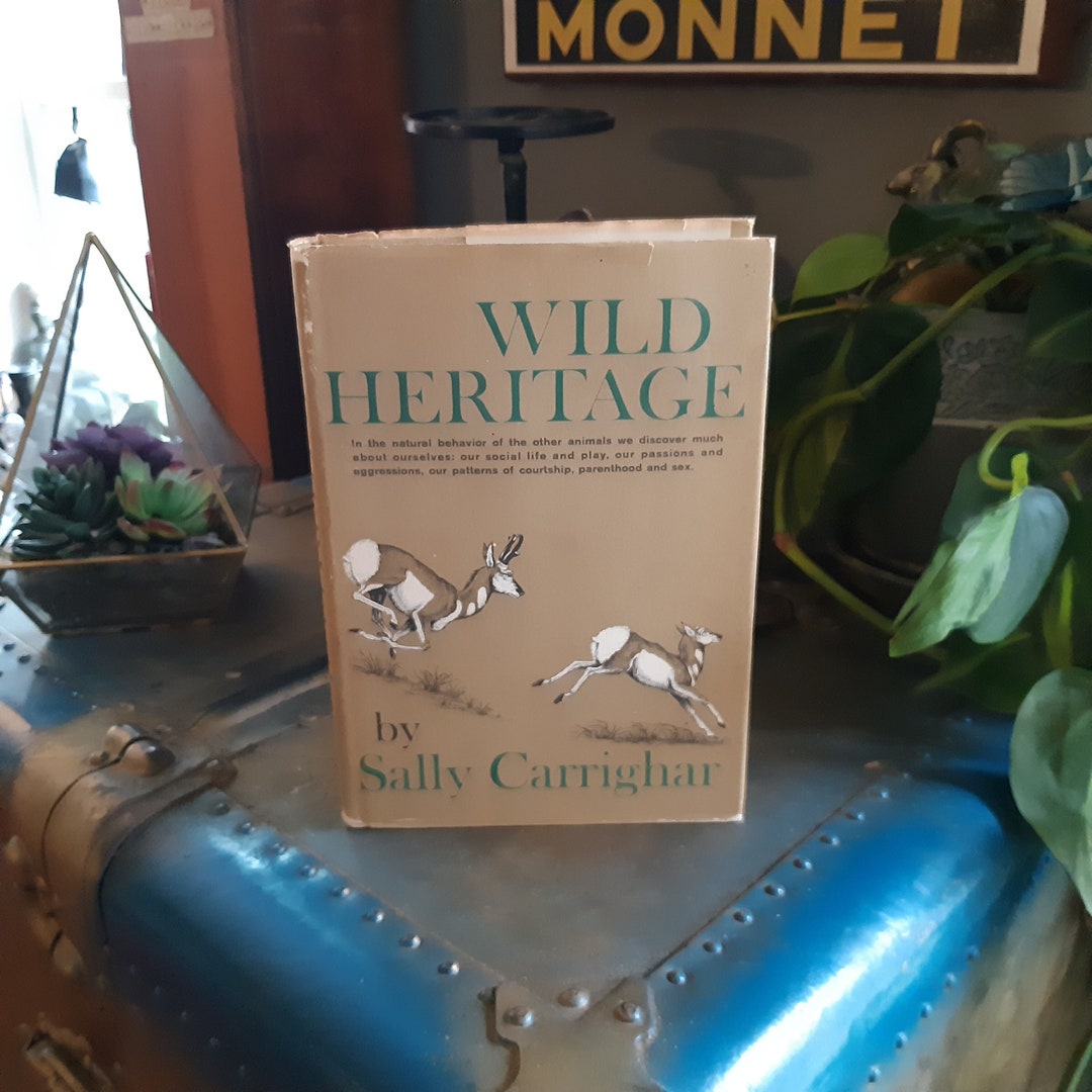 1965 Wild Heritage by Sally Carrighar Illustrations by Rachel S. Horne ...