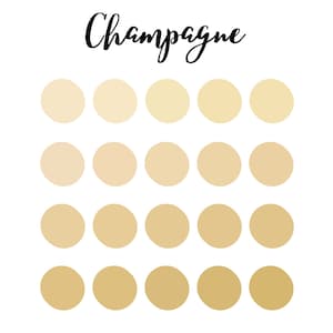 Procreate Champagne Color Palette Popular Hexadecimal Color Codes 40 ...