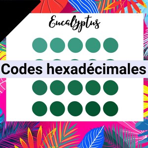 Eucalyptus Color Palette Popular Hexadecimal Color Codes 48 - Etsy