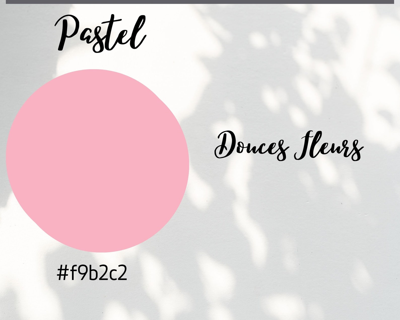 Procreate Pastels Color Palette 28 Trendy Hexa Color Codes 28 Digital ...