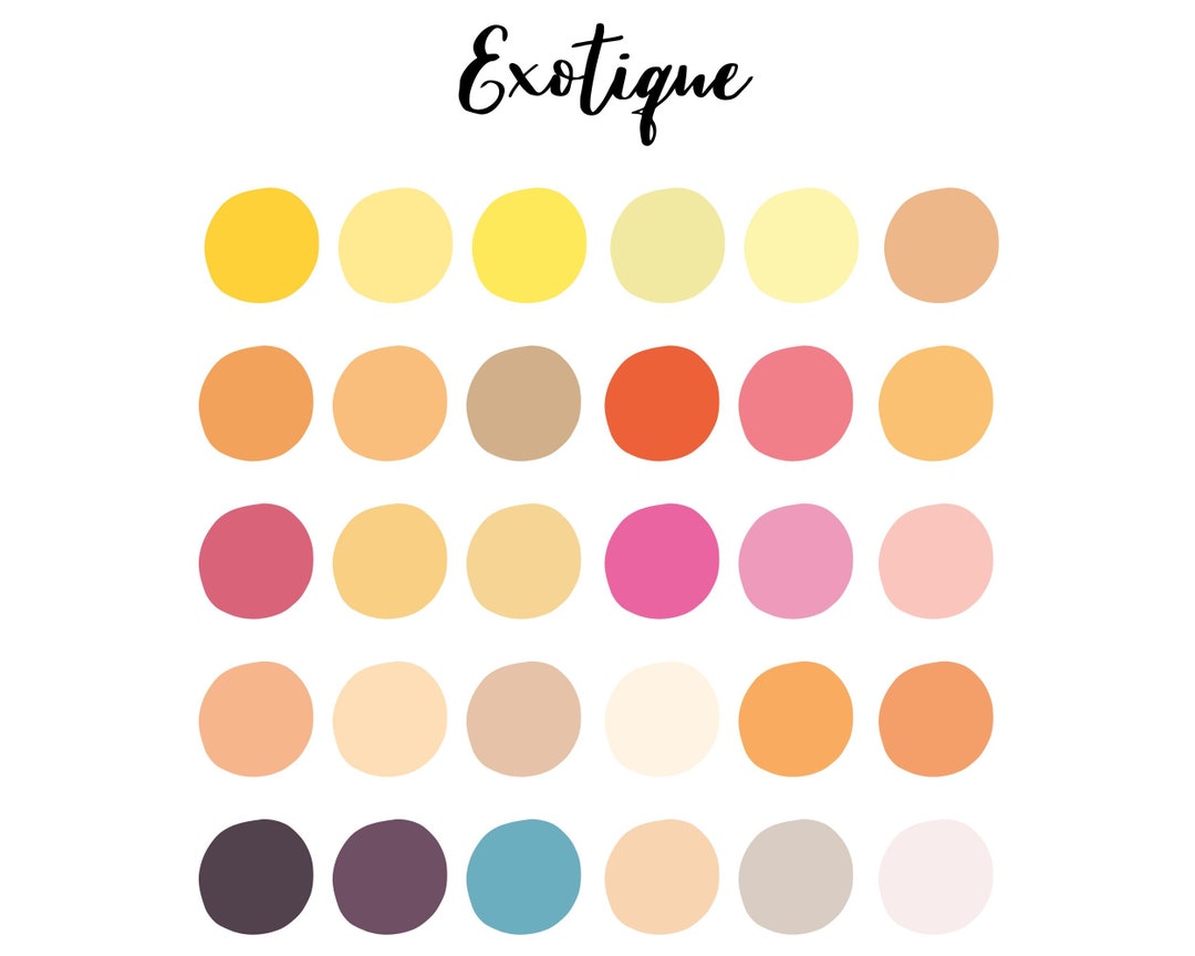 Exotic Digital Color Palette Swatches Download procreate Photoshop ...