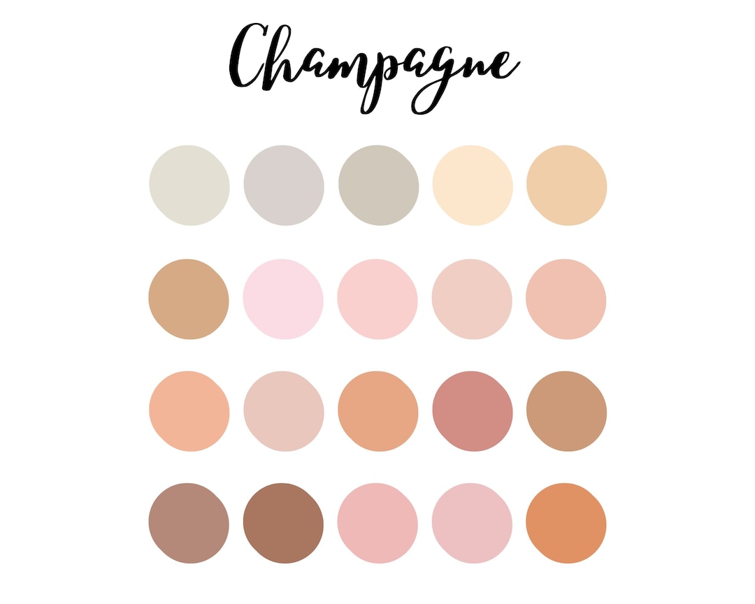 CHAMPAGNE 40 COLOR Palette Hex Codes Grey Pink Peach - Etsy