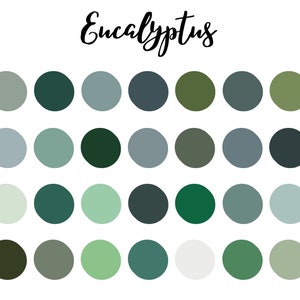 Eucalyptus Color Palette Popular Hexadecimal Color Codes 48 - Etsy