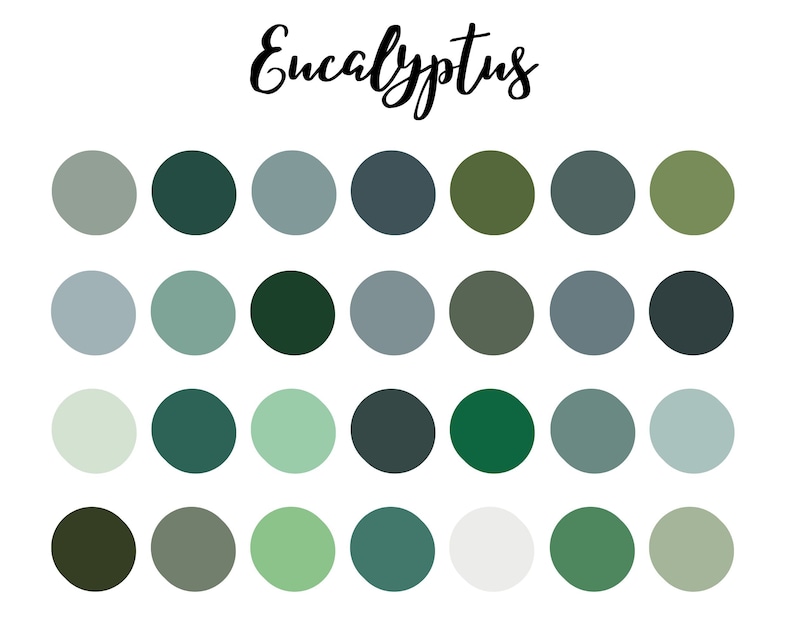 Eucalyptus Color Palette Popular Hexadecimal Color Codes 48 - Etsy