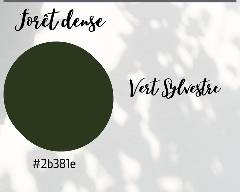 Procreate Dense Forest Color Palette Hexadecimal Color Codes 28 Trendy ...