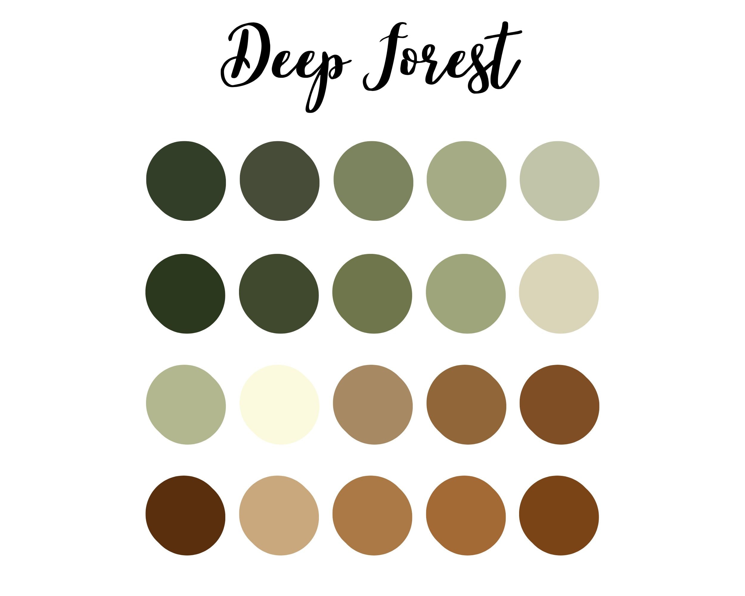 Deep Forest Color Palette Hexadecimal Color Codes 20 - Etsy
