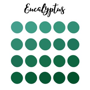 Procreate Eucalyptus Color Palette Popular Hexadecimal Color Codes 48 ...