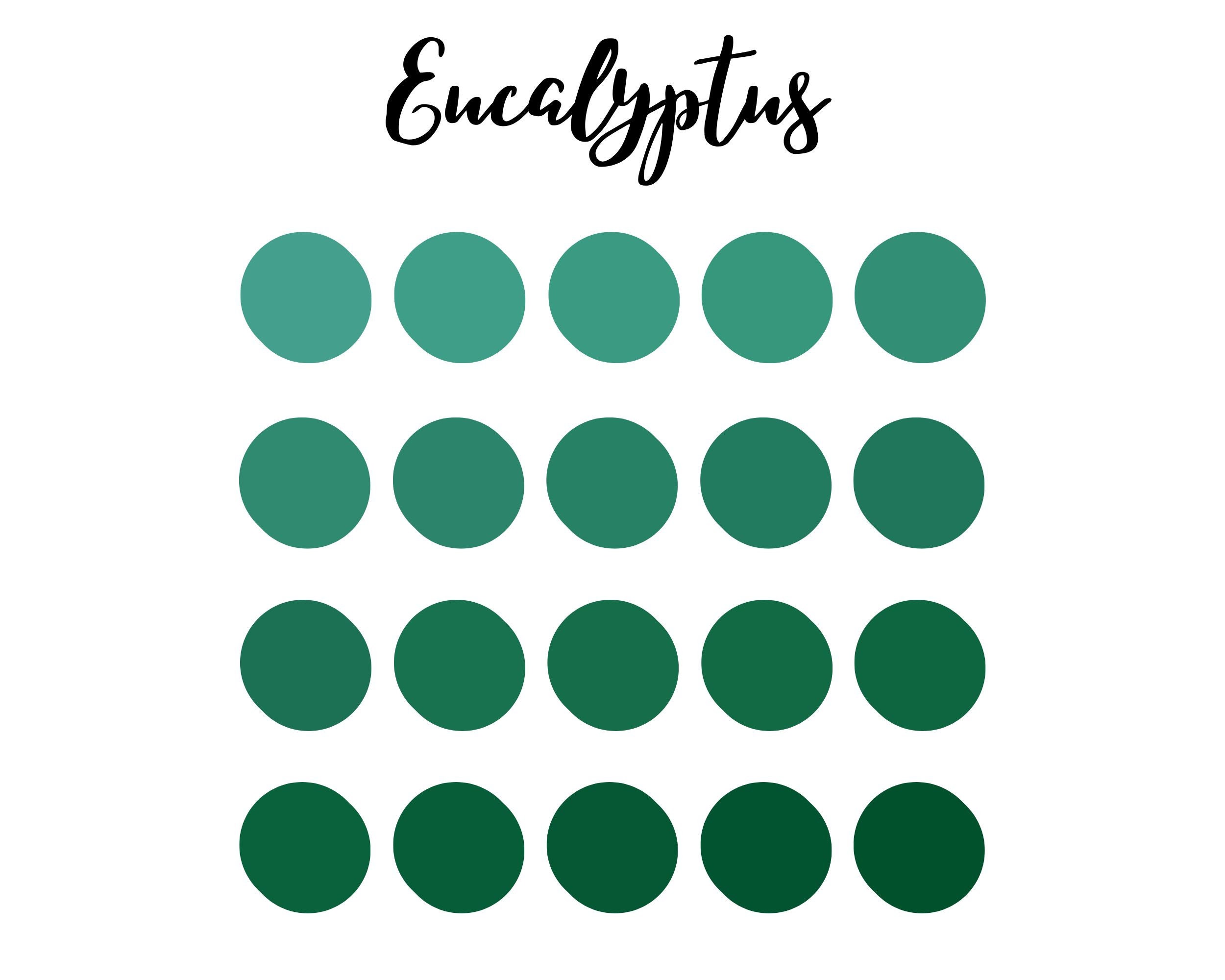 Procreate Eucalyptus Color Palette Popular Hexadecimal Color Codes 48 ...