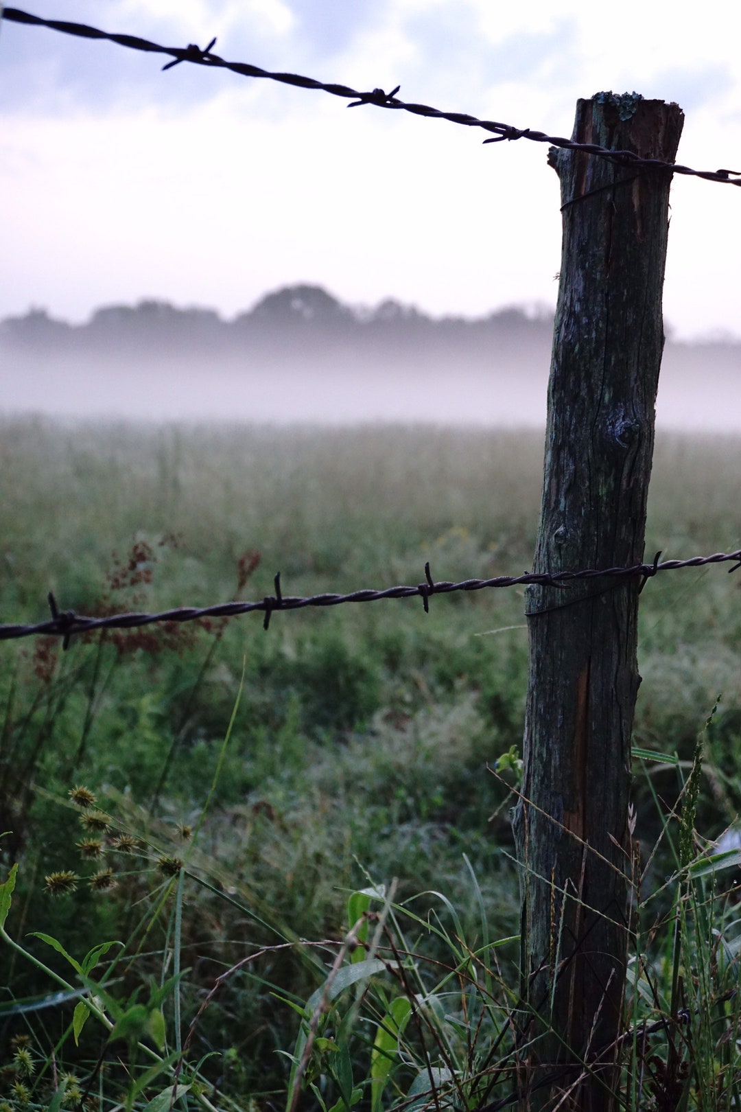 Old Fence Post Digital Download - Etsy