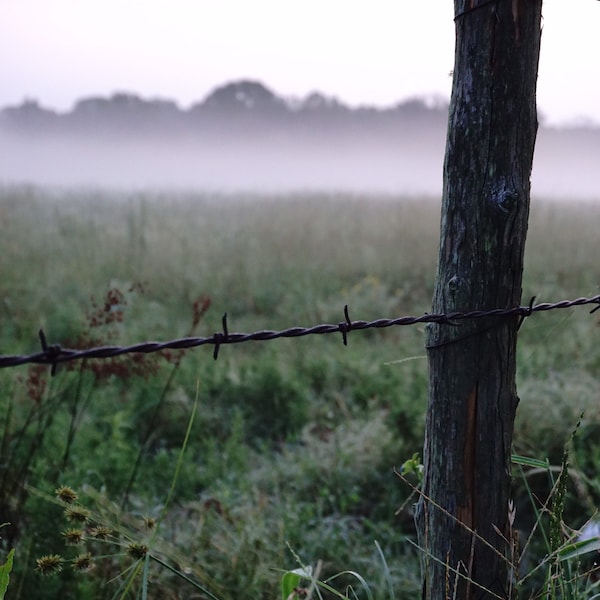 Old Fence Post - Etsy
