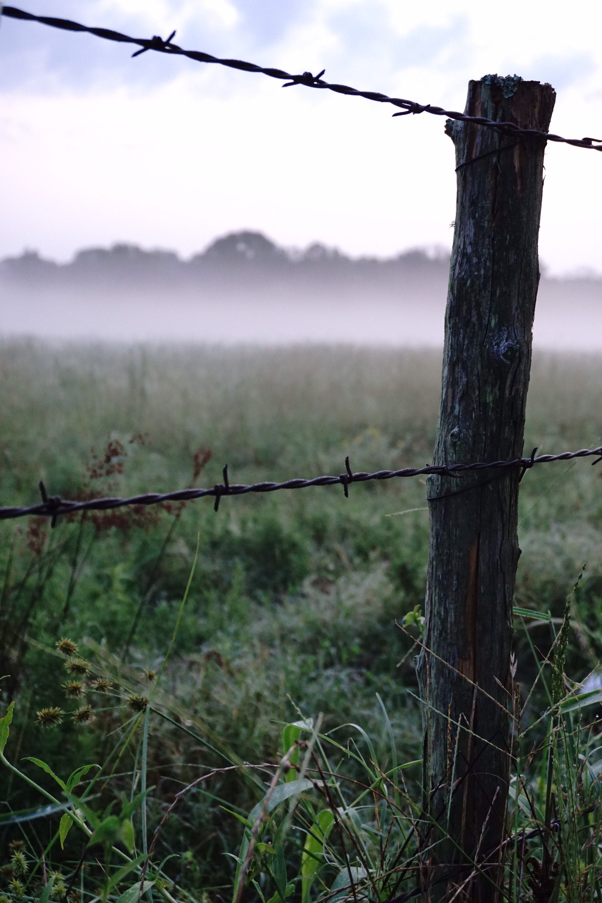 Old Fence Post Digital Download - Etsy
