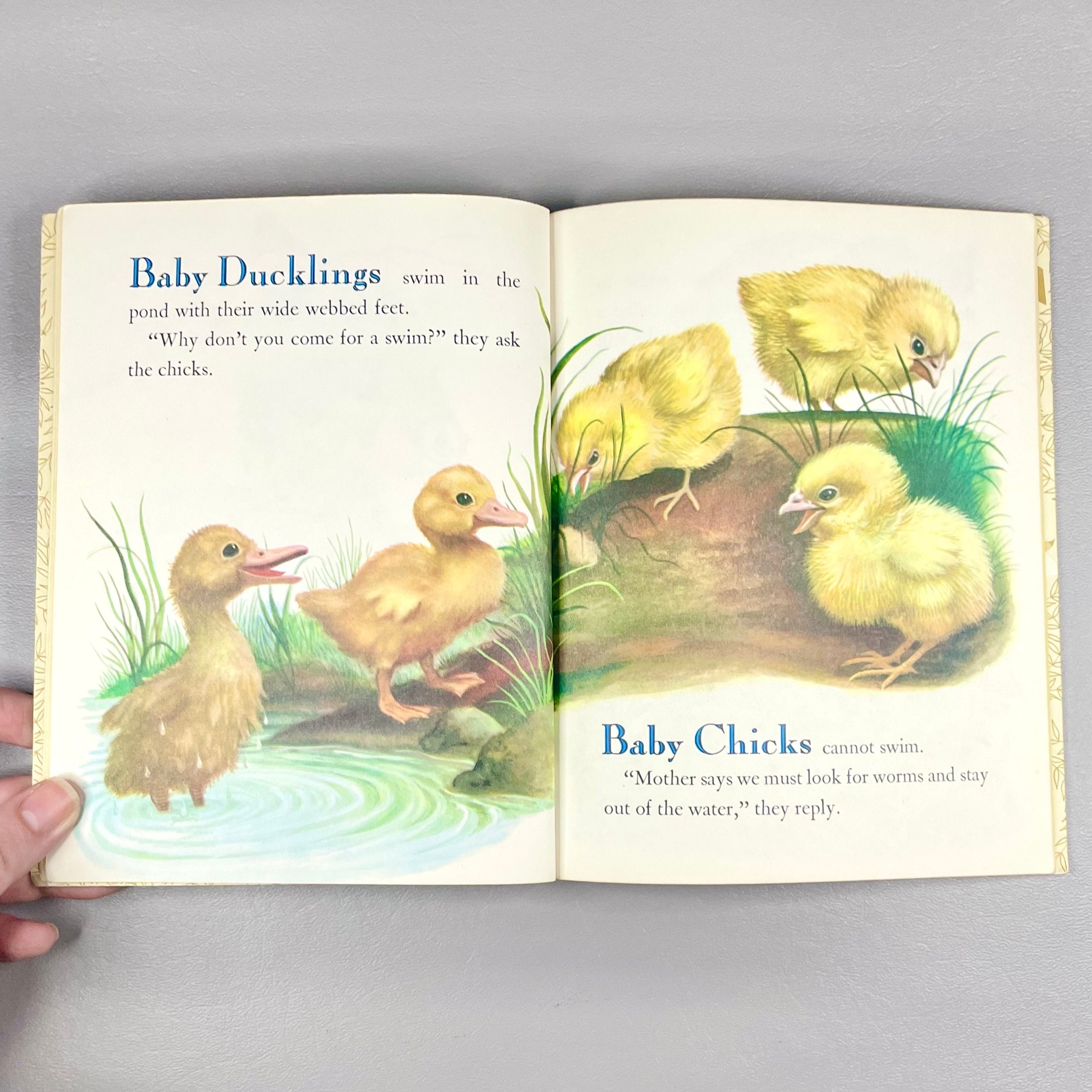 Vintage 1958 Little Golden Book: Baby Farm Animals, Collector's Edition ...