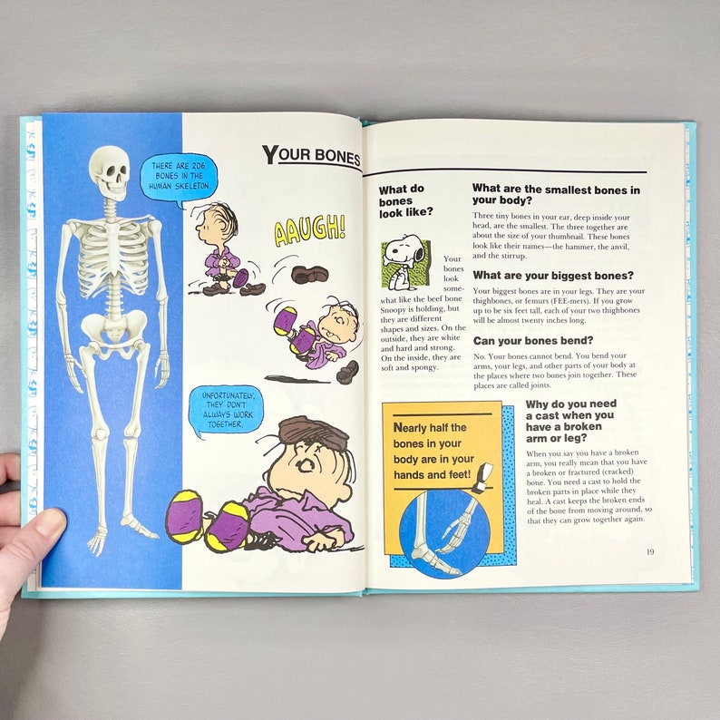 Vintage Charlie Brown Encyclopedia, Your Body, Volume 1 - Etsy
