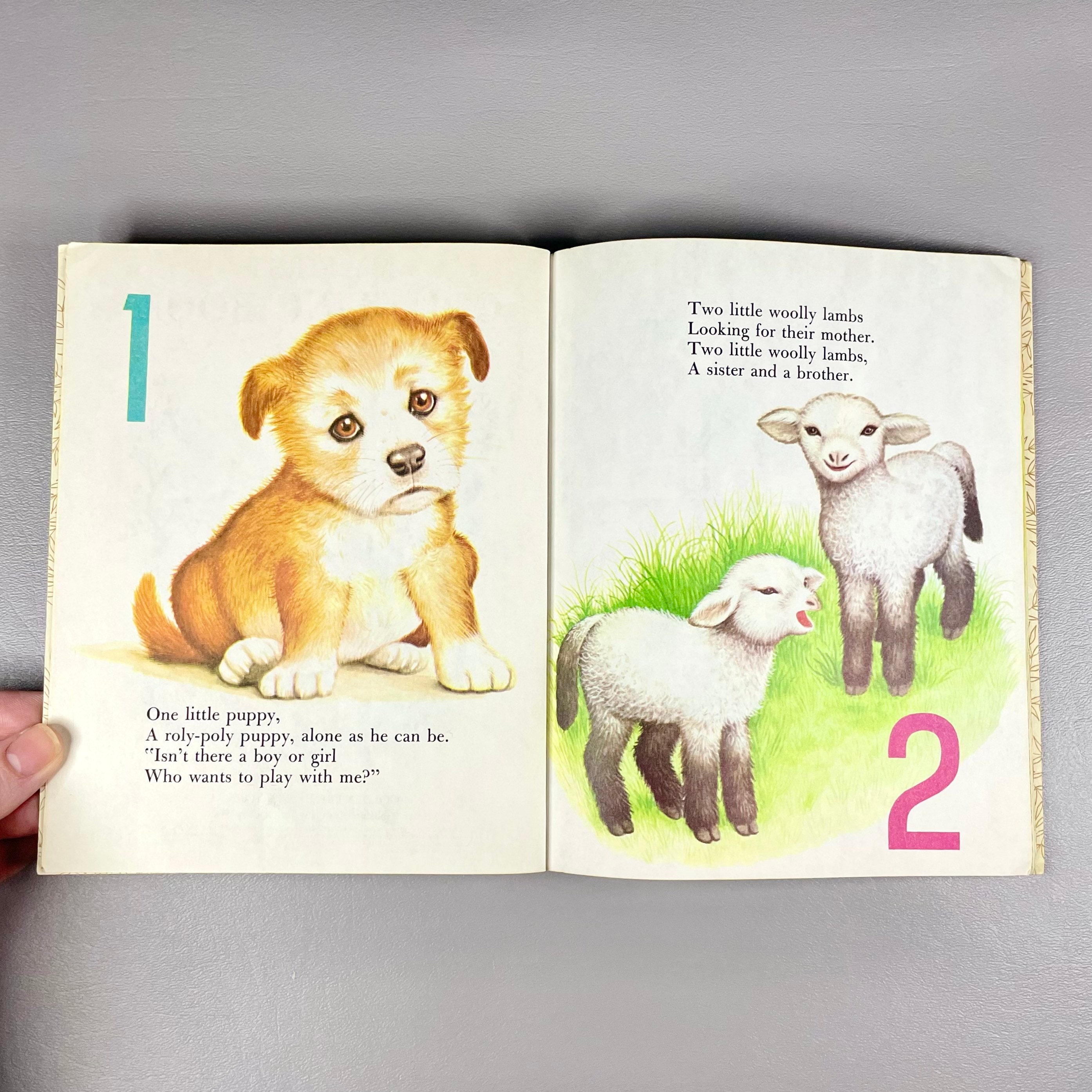 Vintage 1957 Little Golden Book my First Counting Book of Animals ...