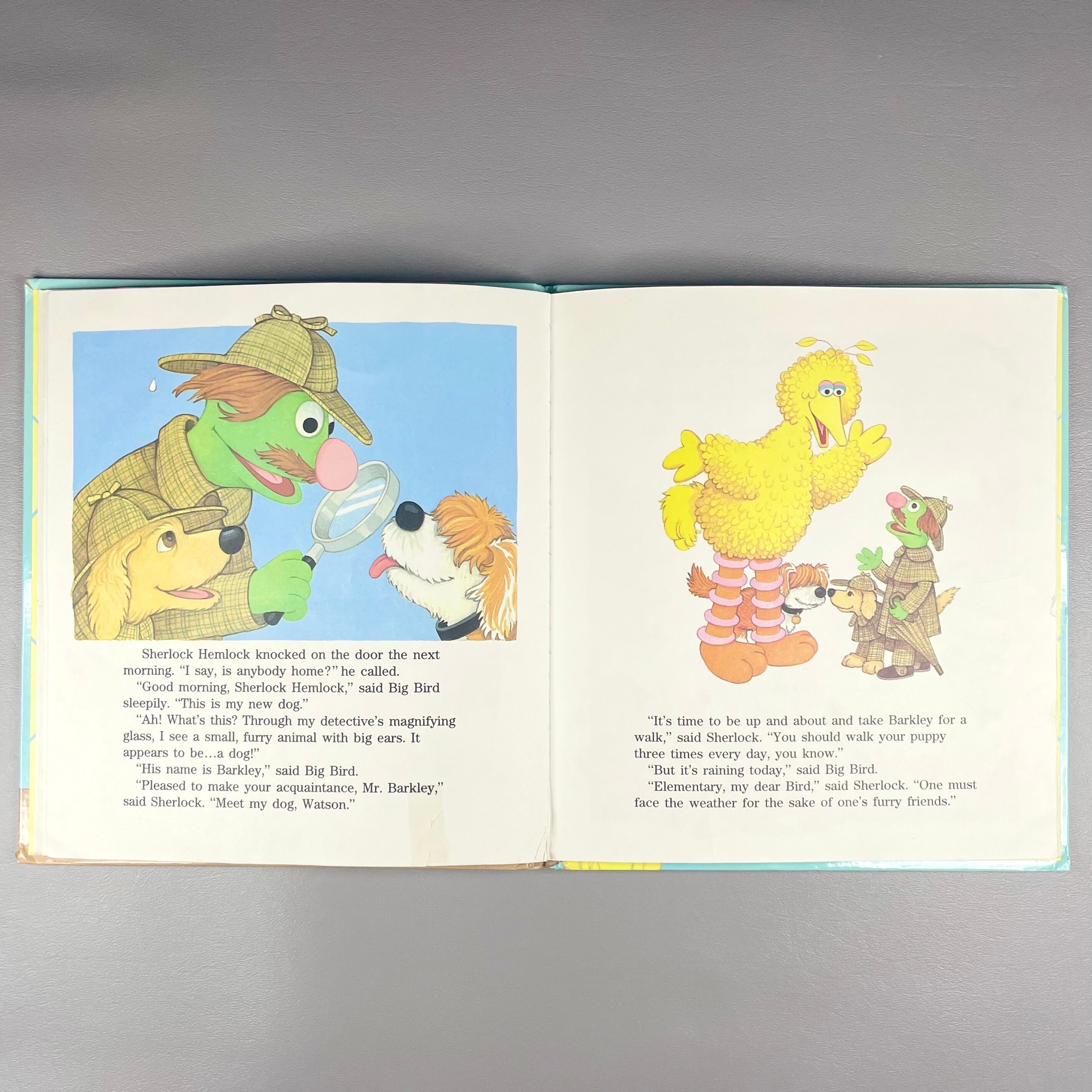 Vintage Book 1986 A Birds Best Friend, Sesame Street Hardcover Paper ...