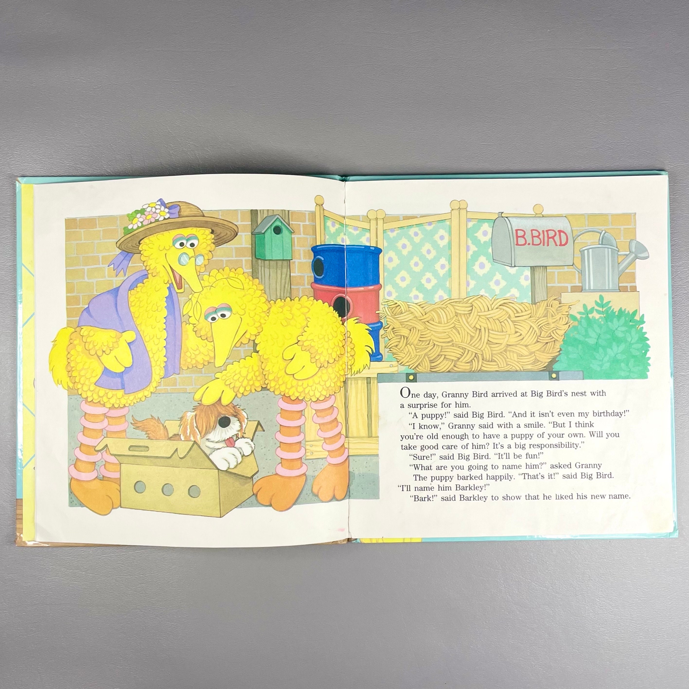 Vintage Book 1986 A Birds Best Friend, Sesame Street Hardcover Paper ...