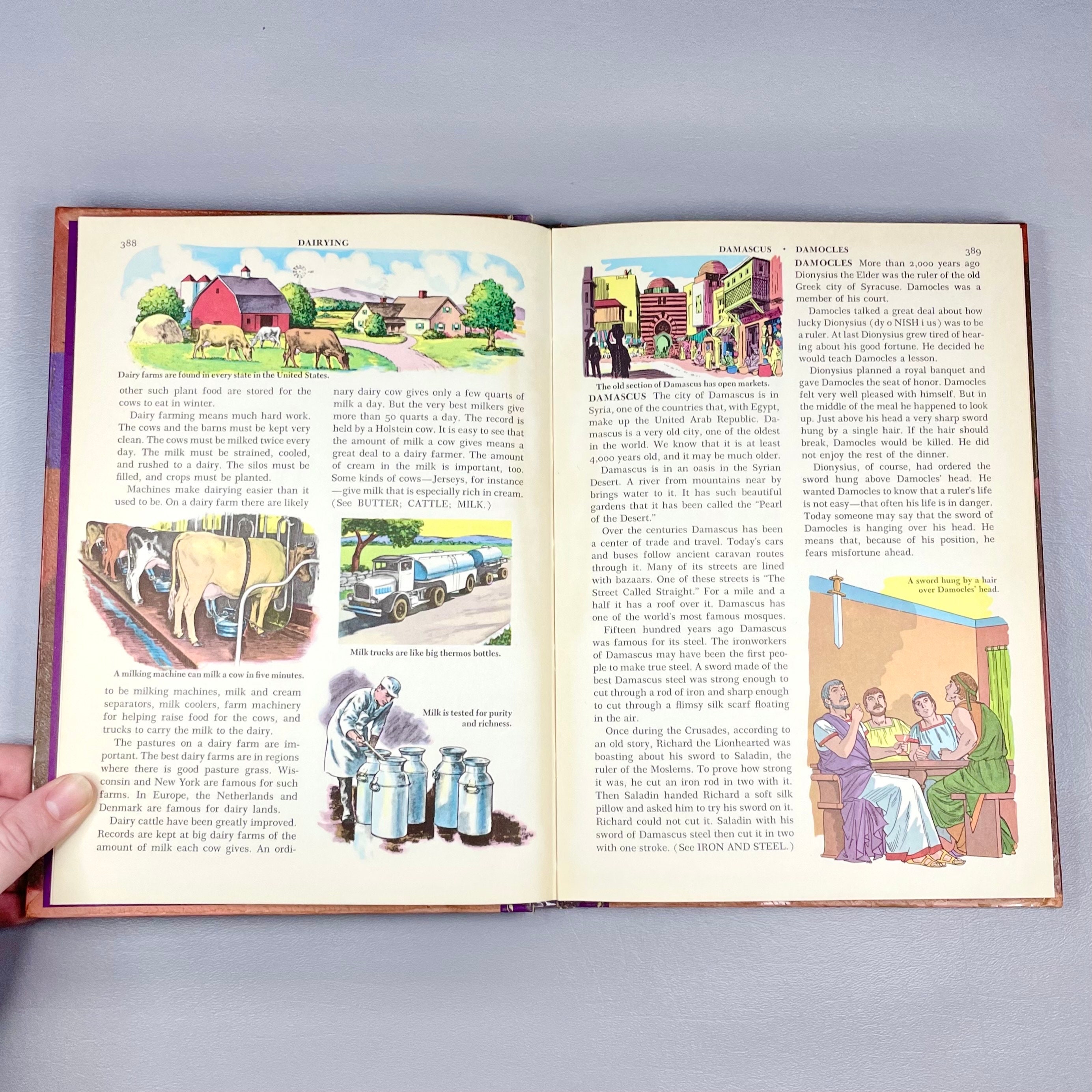 Vintage 1959 "the Golden Encyclopedia" Children's Book - Etsy
