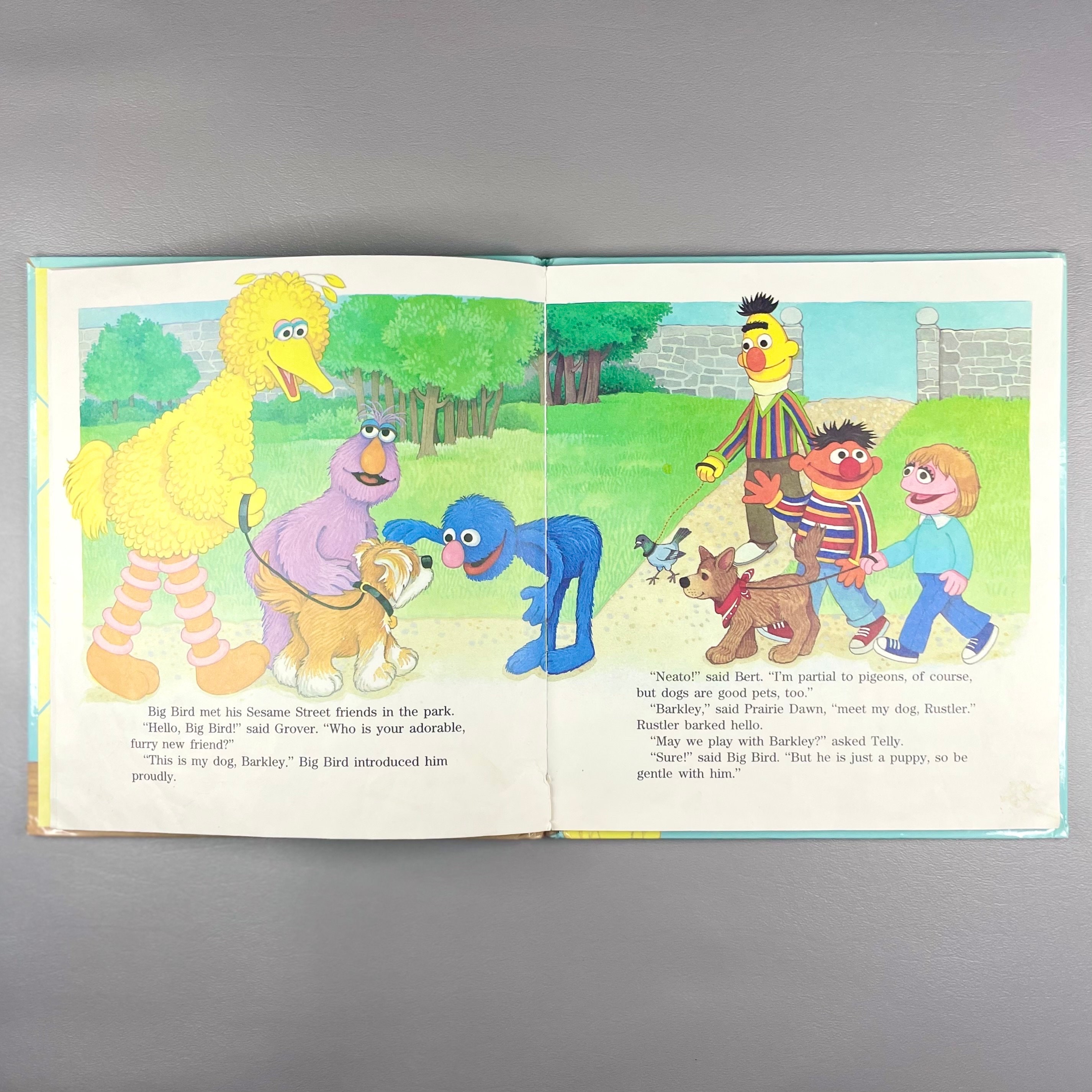 Vintage Book 1986 A Birds Best Friend, Sesame Street Hardcover Paper ...