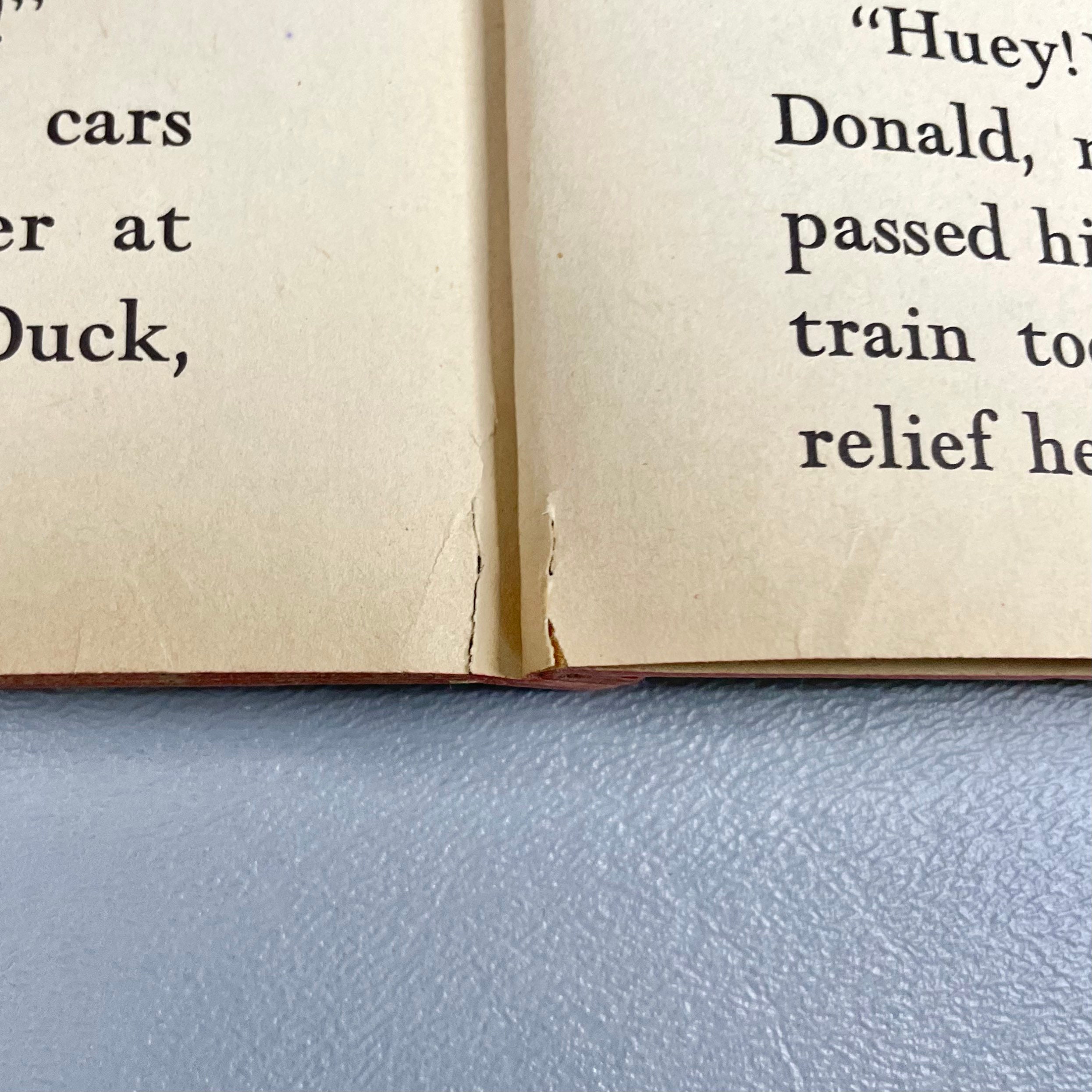 Vintage 1955 B Little Golden Book donald Duck in Disneyland Walt ...