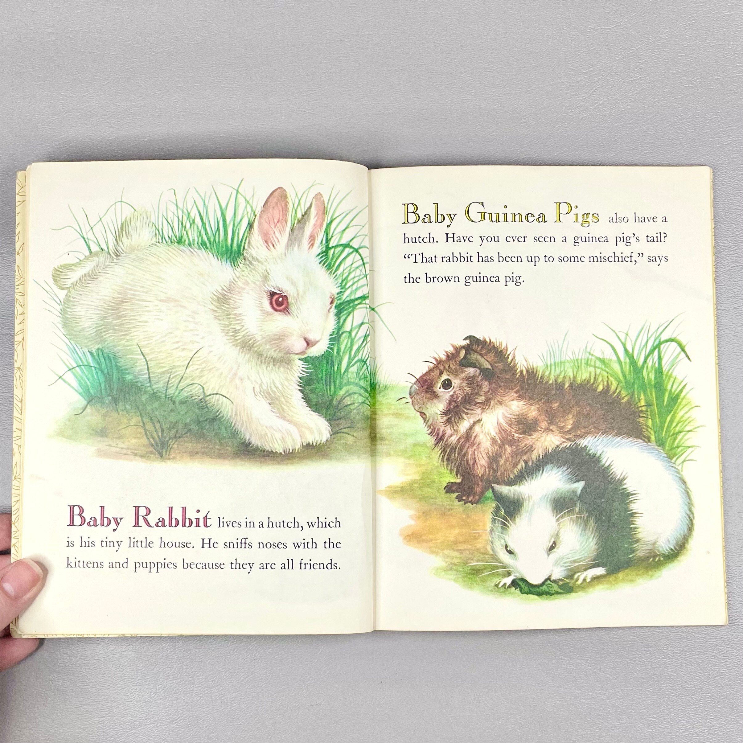 Vintage 1958 Little Golden Book “baby Farm Animals”, Hardcover Paper ...