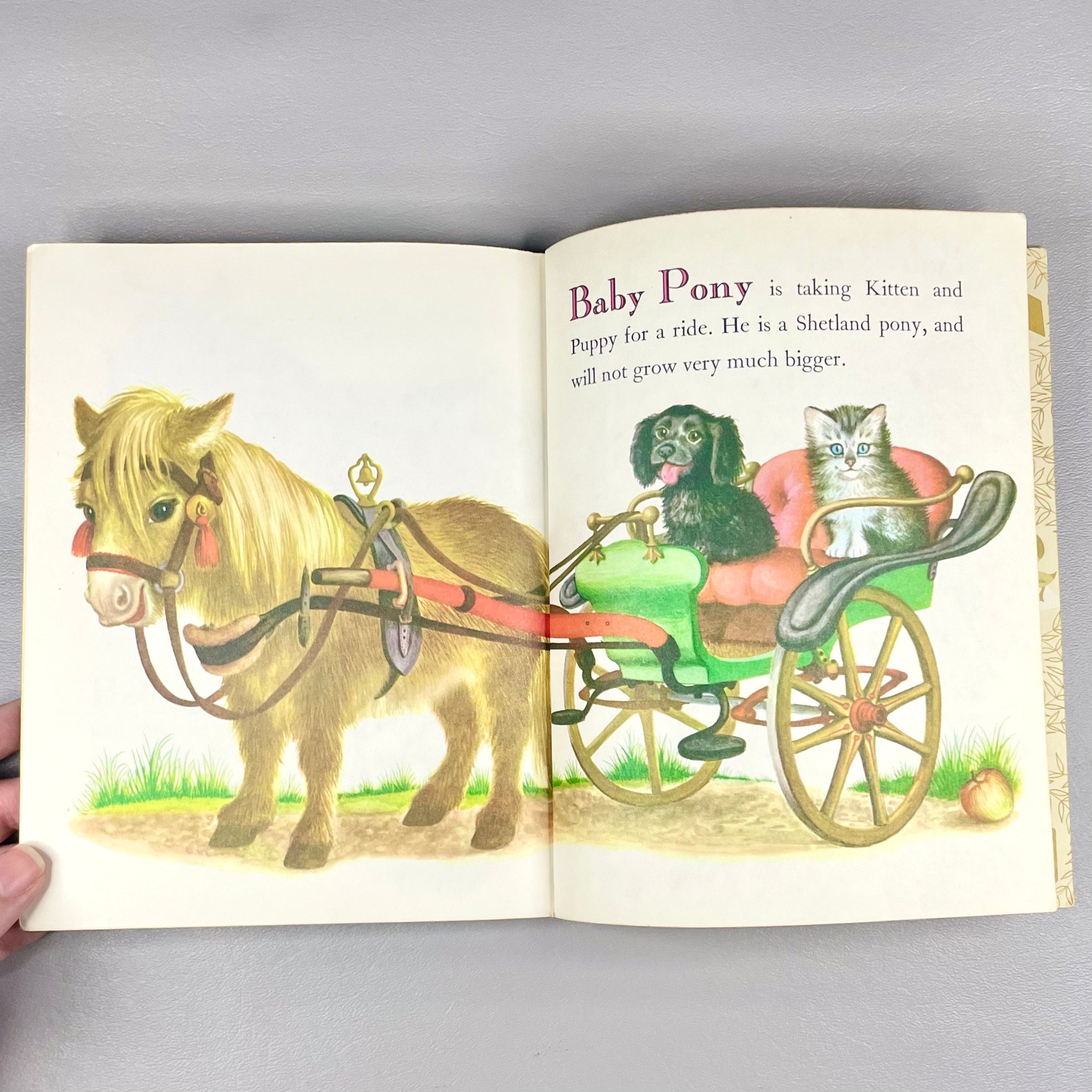 Vintage 1958 Little Golden Book: Baby Farm Animals, Collector's Edition ...