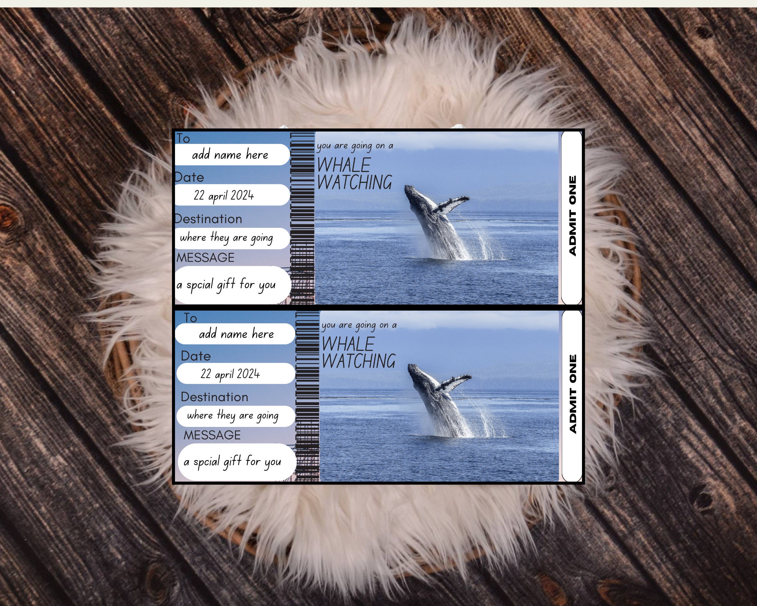 Whale Watching Reveal Ticket Template, Surprise Trip Reveal Ticket ...