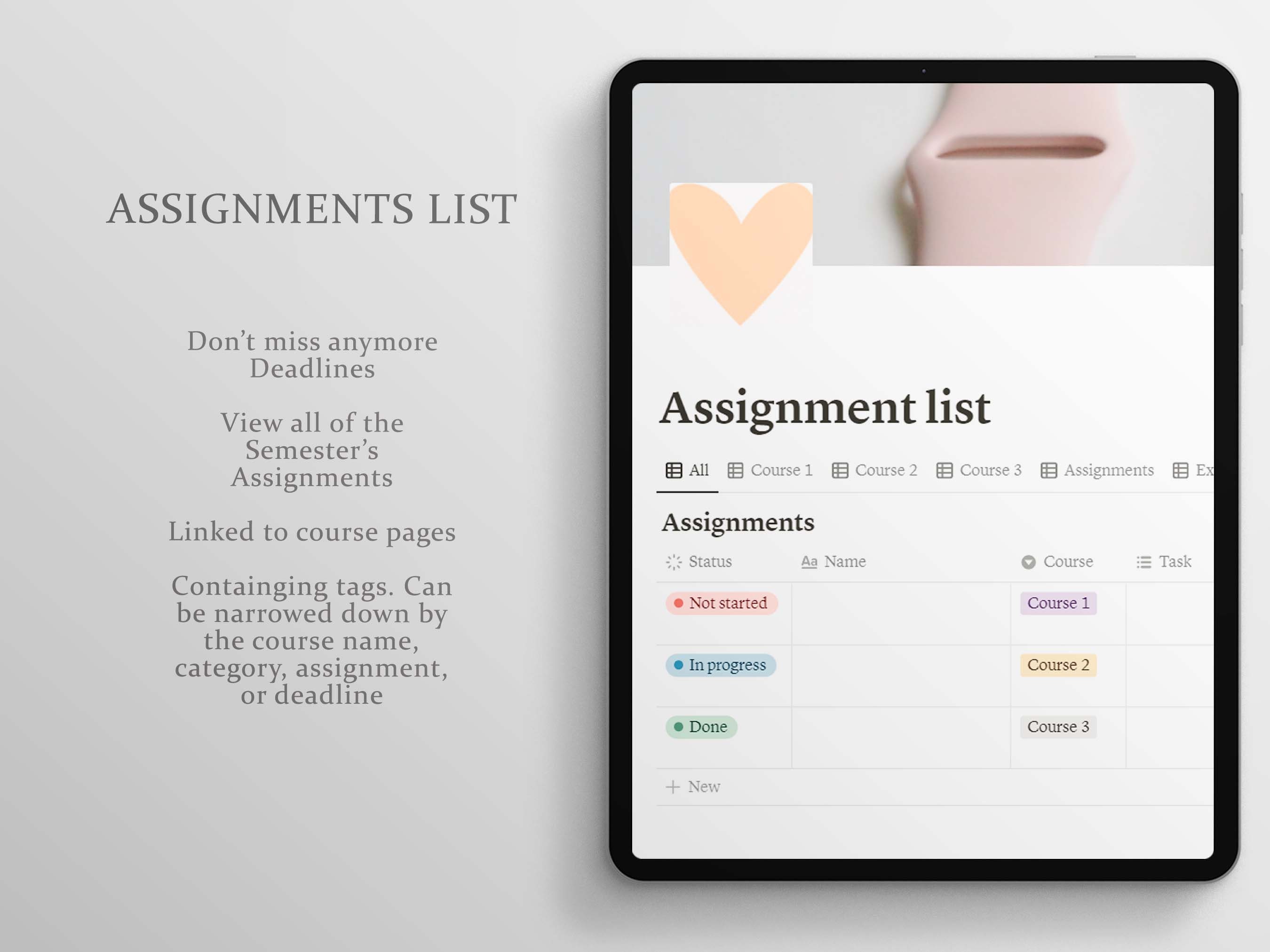Notion Wardrobe Manager and Planner, Notion Templates, Notion Clothes ...