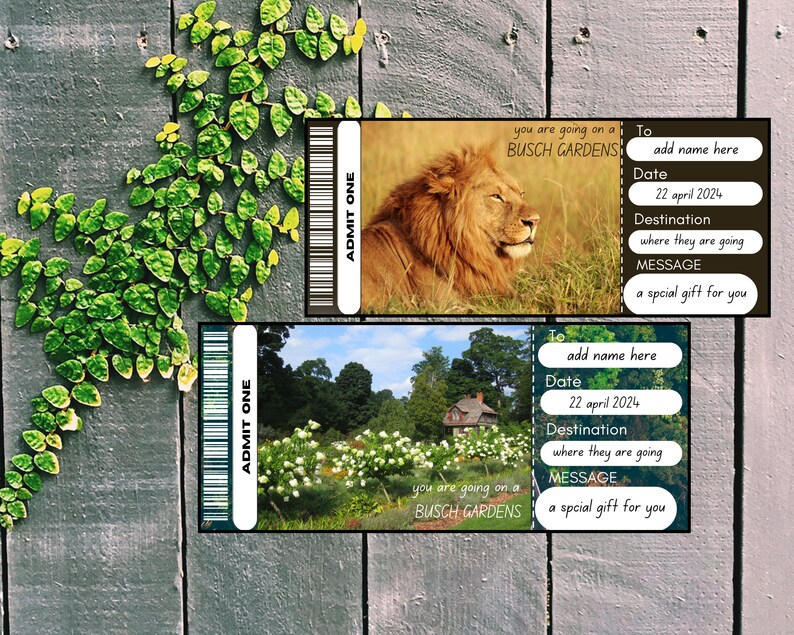 Busch Gardens Ticket Template: Editable Voucher, Invitation (digital ...