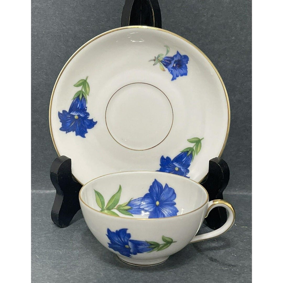 Vintage PMR Bavaria Jaeger Collectible Tea Cup Saucer Set Blue Flower ...