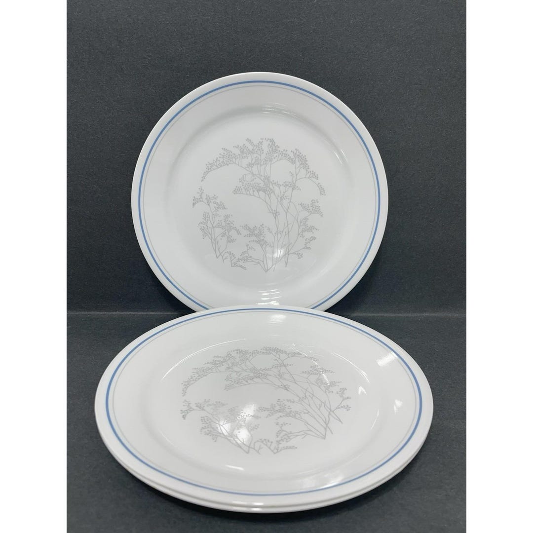 Corelle QUEENS LACE Set of 2 Dinner Plates Gray Blue White 10 Inch - Etsy