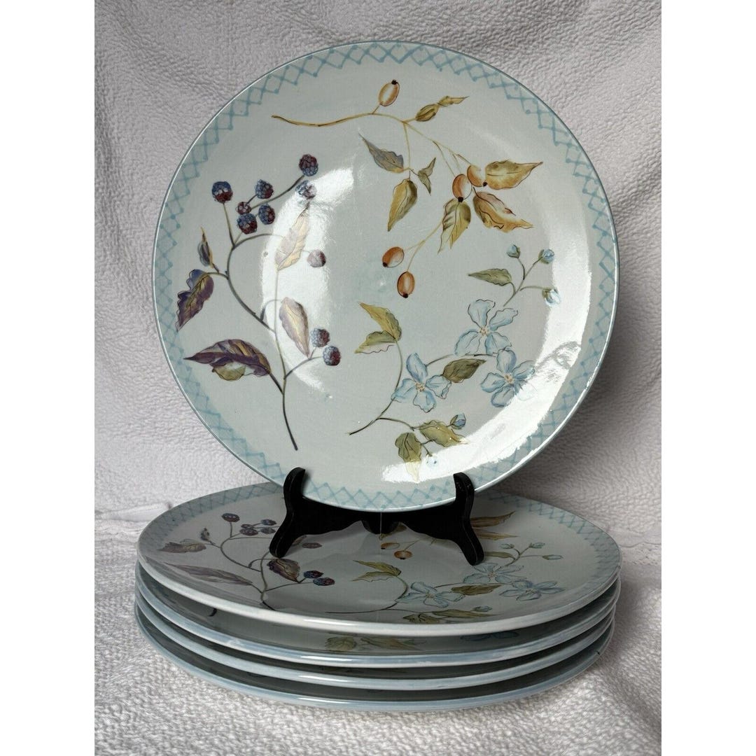 Set of 5 Tracy Porter TYP2 Dinner Plates Large 11 Inch Heavy Duty ...