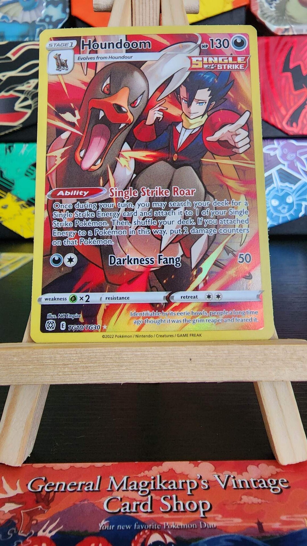 Houndoom Trainer Gallery - Etsy