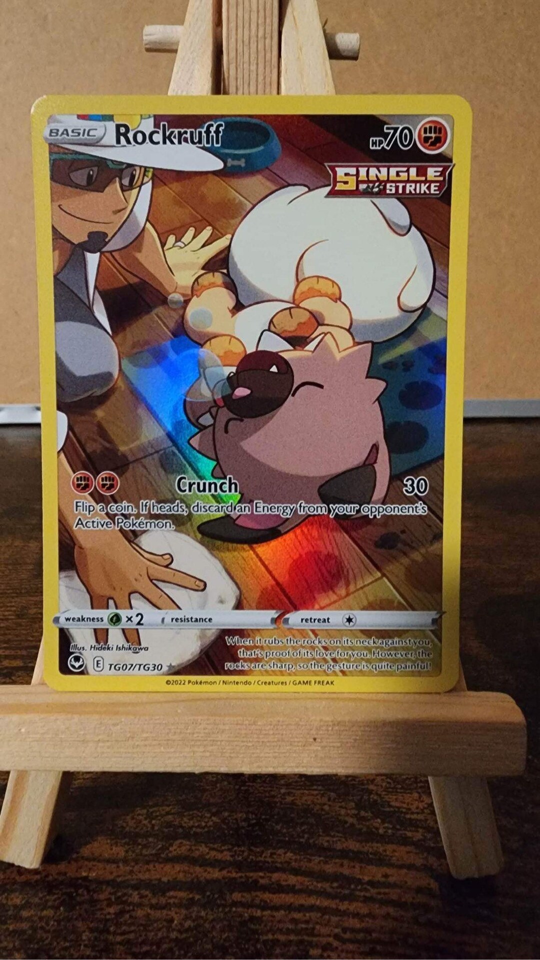 Rockruff Trainer Gallery - Etsy