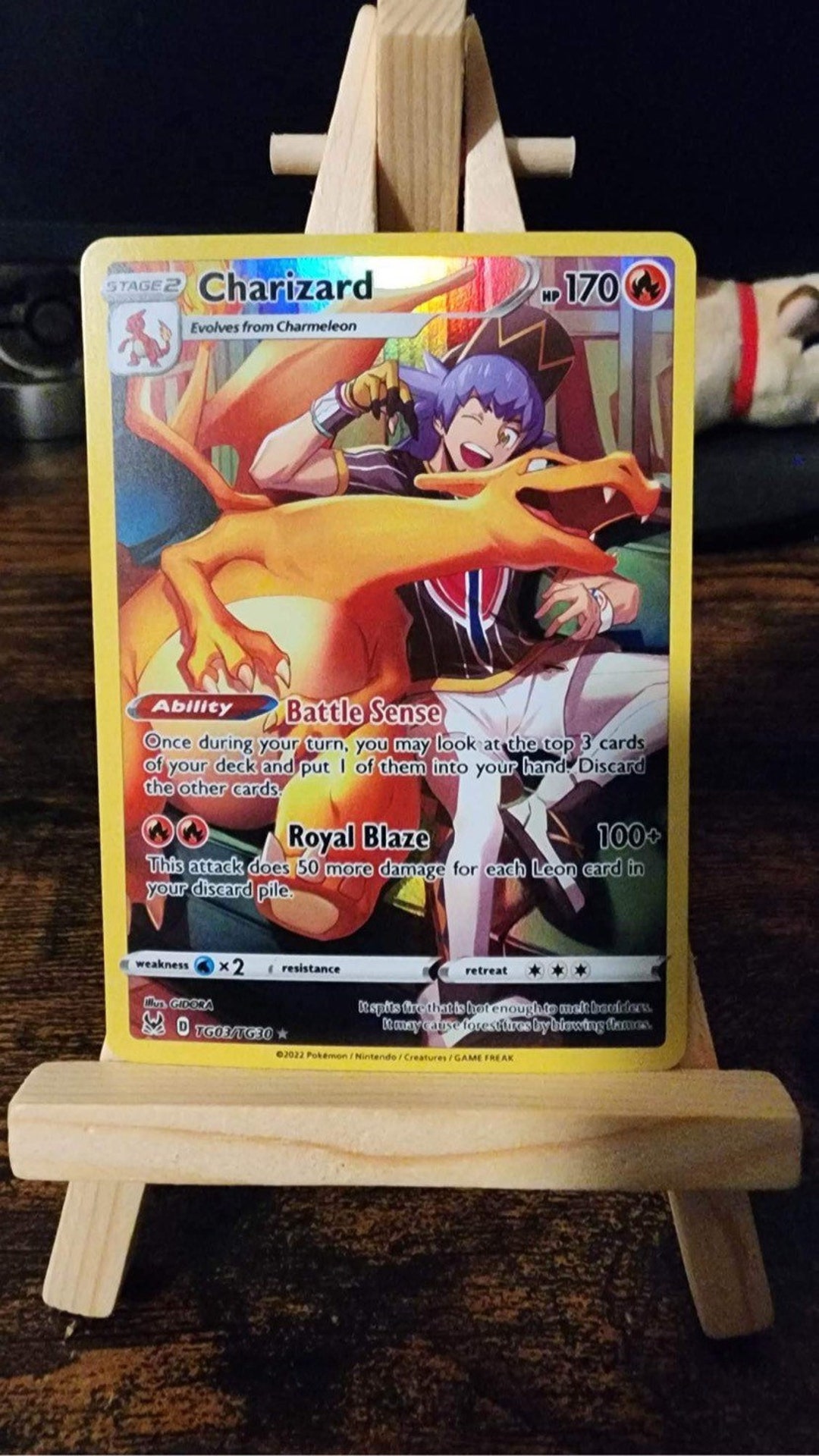 Charizard Trainer Gallery - Etsy