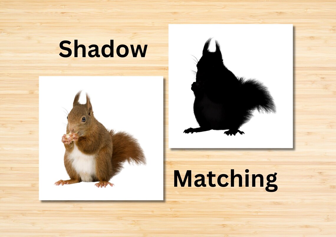 Forest Animals Shadow Matching Flash Cards: Montessori Memory Game ...