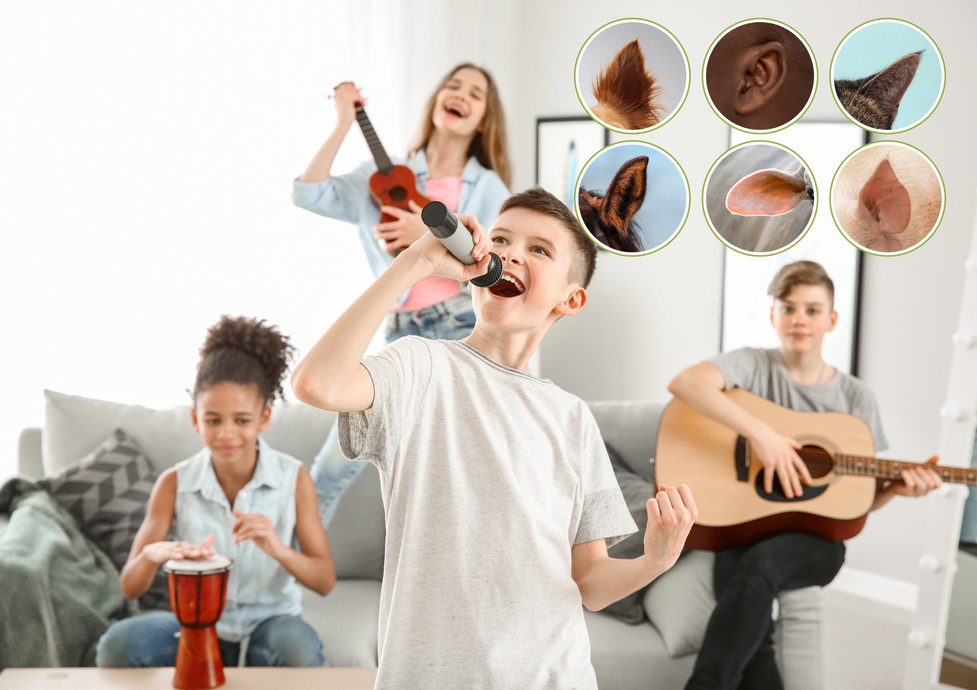 Explore the 5 Senses With Real Eyes and Paws Fun Round Flashcards for ...