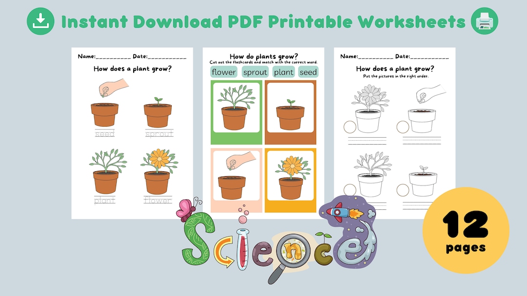 Key Stage 1 Science Lesson: How Do Plants Grow? What Do Flowers Need ...