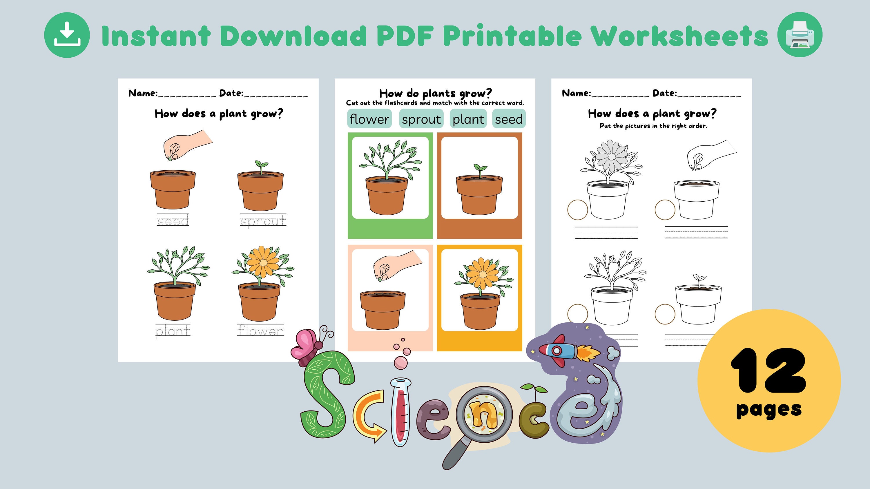 Key Stage 1 Science Lesson: How Do Plants Grow What Do Flowers Need ...