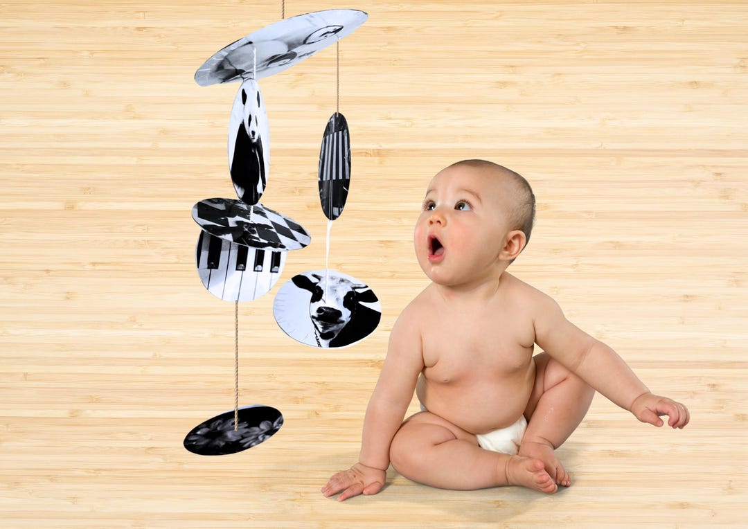 DIY Instant Download High Contrast Real Life Photograph Realistic Image ...