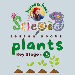 Key Stage 1 Science Lesson: How Do Plants Grow What Do Flowers Need ...